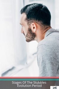 What Is Stubble? Stages Of The Stubbles Evolution Period.