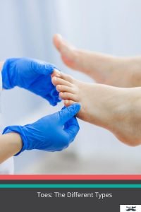 Toes: The Different Types